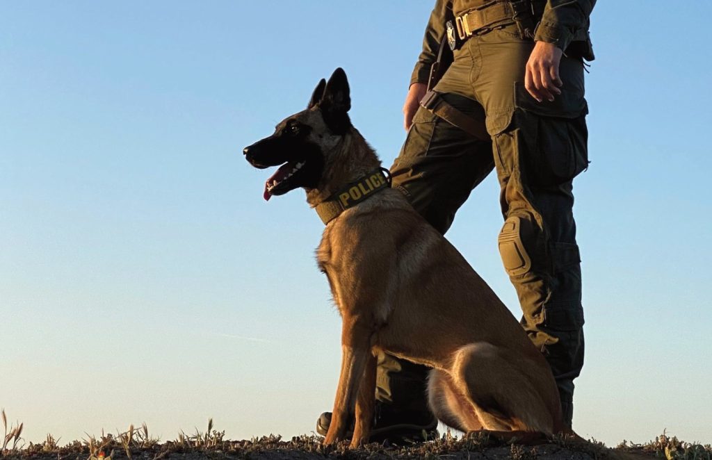 POST Law Enforcement K-9 Guidelines – lacpca